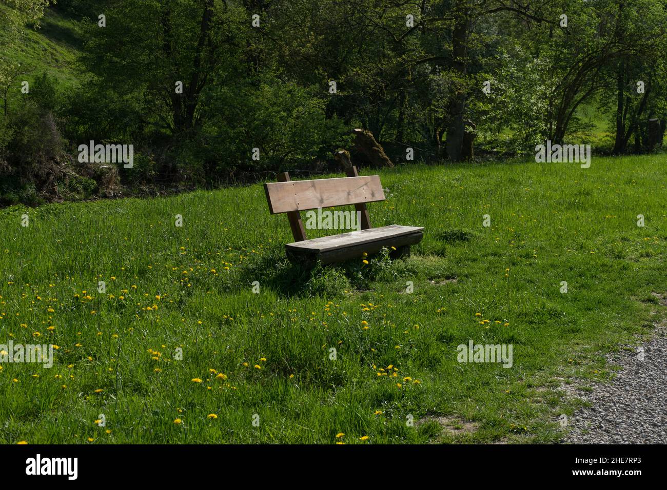 Field bench flower hi-res stock photography and images - Alamy
