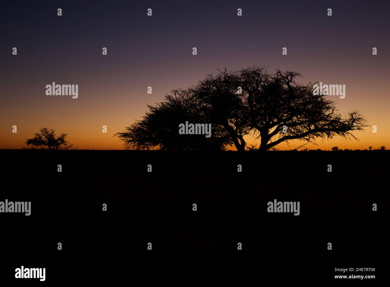 Bushveld sunset in the Kgalagadi Stock Photo - Alamy
