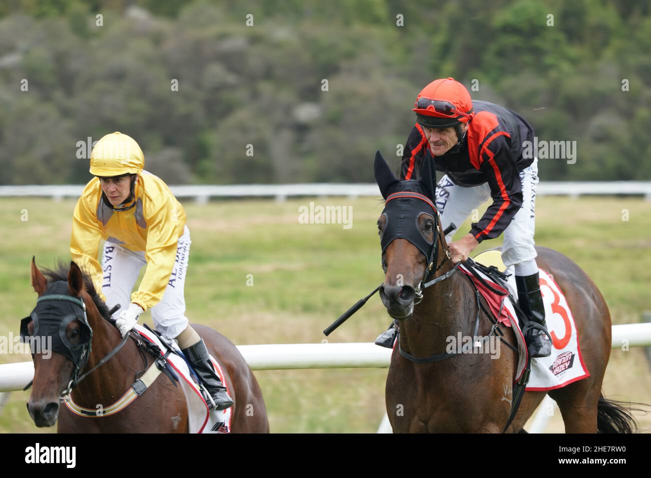 Horse jockeys winners hi-res stock photography and images - Alamy