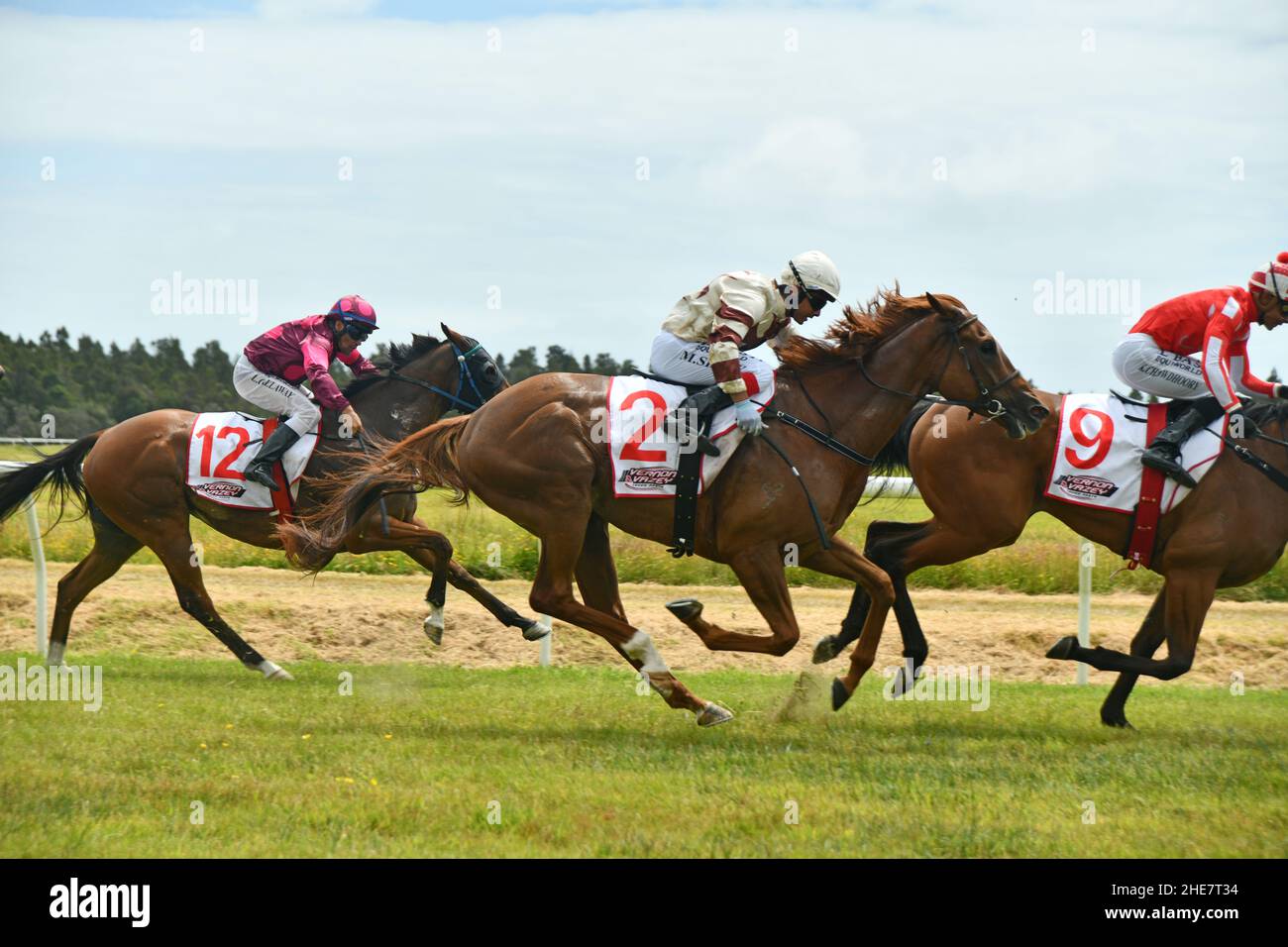 KUMARA, NEW ZEALAND, JANUARY 8, 2022; jockeys ride their mounts hard to ...