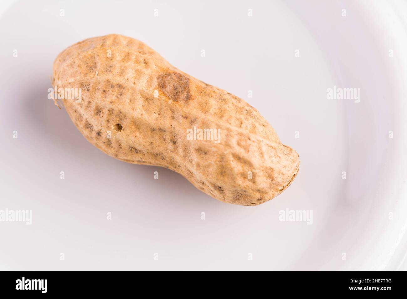 isolated peanut with shell on white background Stock Photo - Alamy