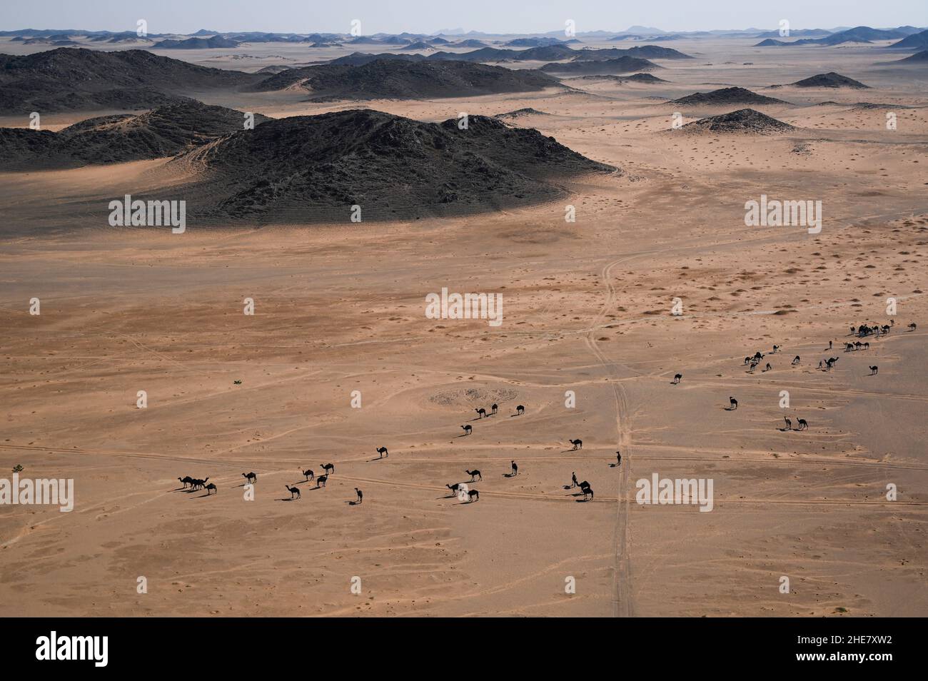 Al Dawadimi, Arabie Saoudite. 09th Jan, 2022. Landscape during the ...