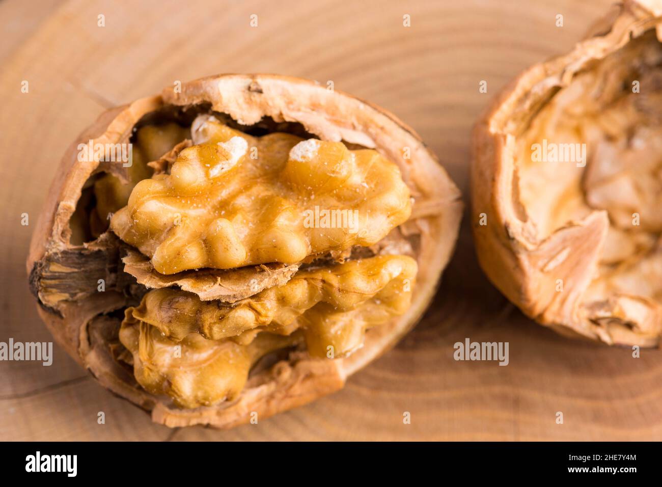 Walnut opened in warm light Stock Photo - Alamy