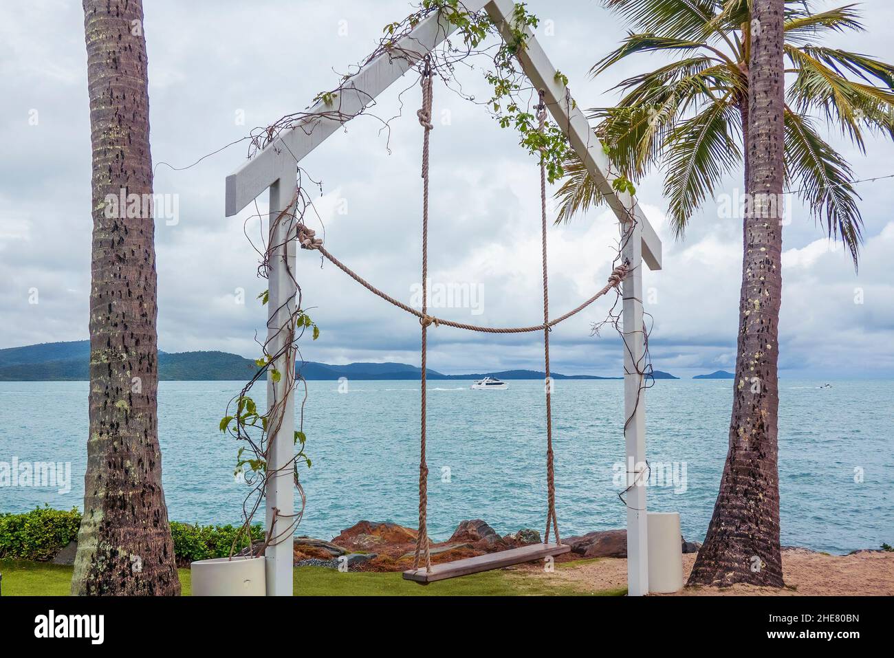 A seaside swing from an arch entwined with vine between two palm trees ...