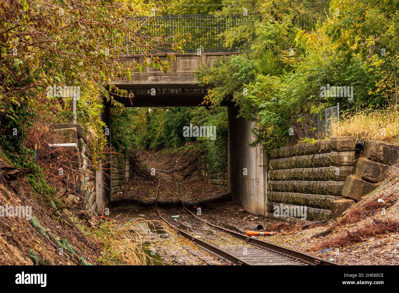 On railroad under the bridge Stock Photo - Alamy