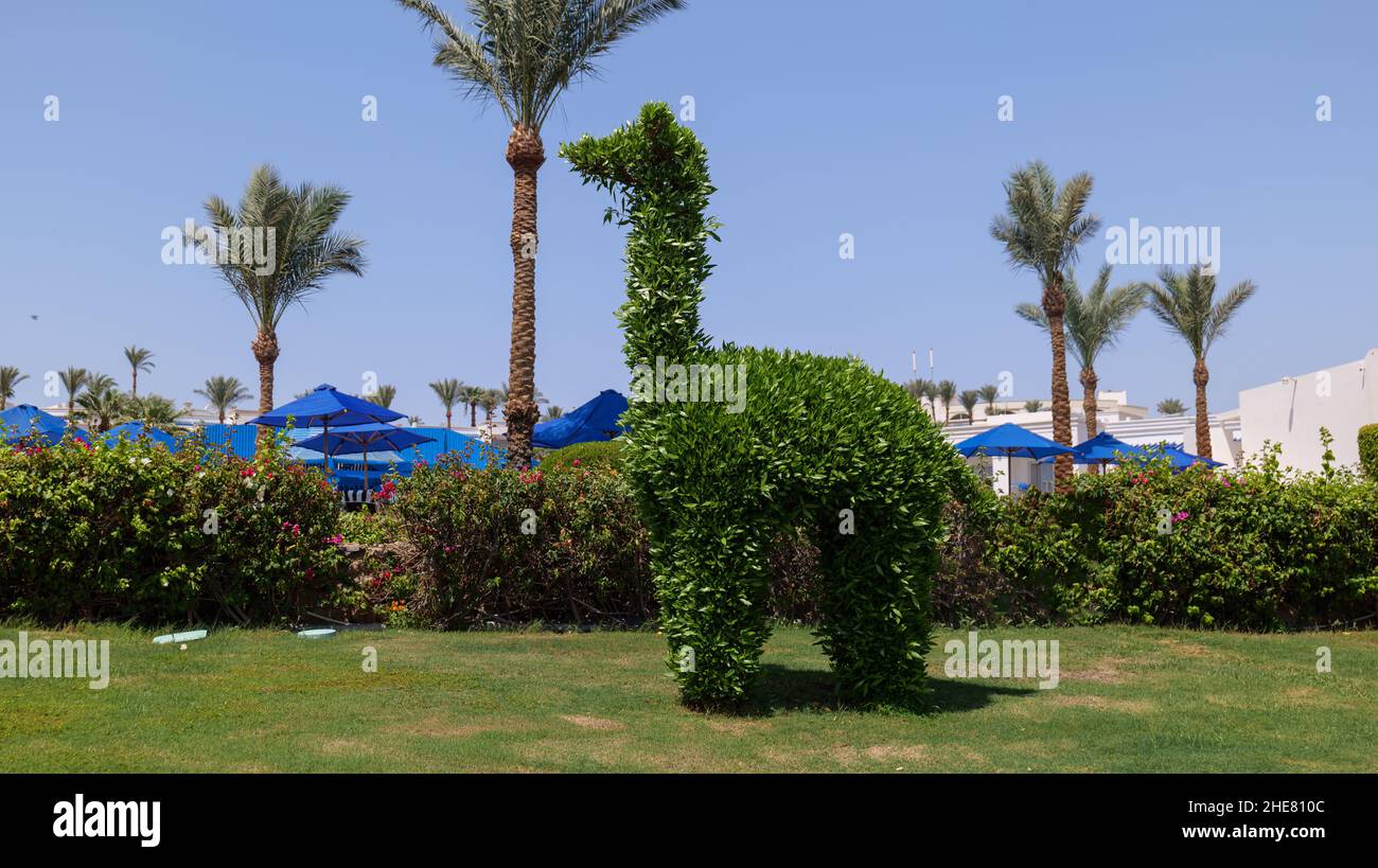 Sharm el sheikh. Egypt September 2021. Renaissance Sharm El Sheikh ...