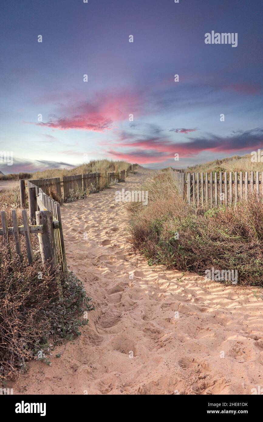 Sand path with wooden fence on its both sides with plants against a ...