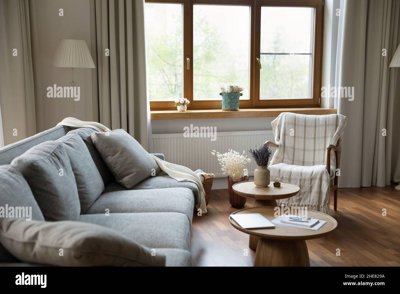 Cozy modern living room interior with soft comfortable couch Stock ...