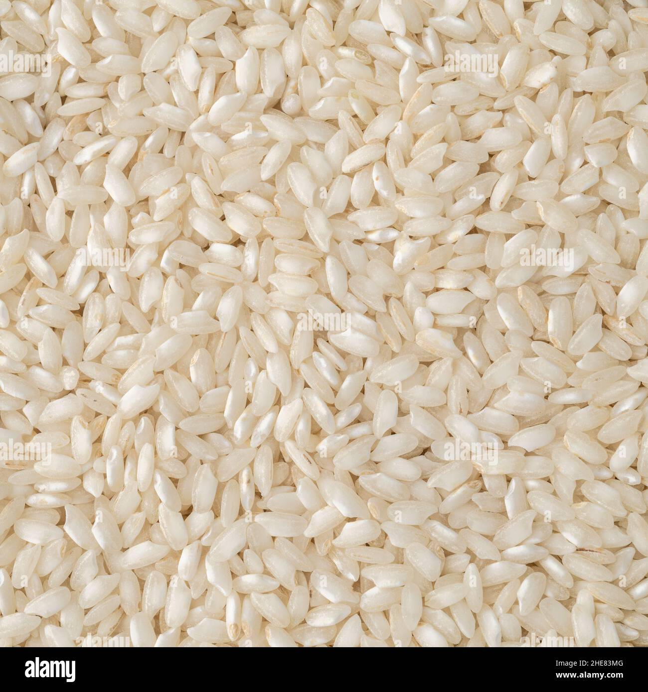 Closeup, top view of raw carnaroli risotto rice. Food backdrop Stock ...