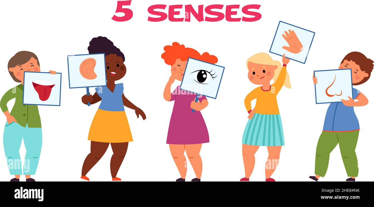 Kids and five senses. Kid and sensorial visual information. Children ...
