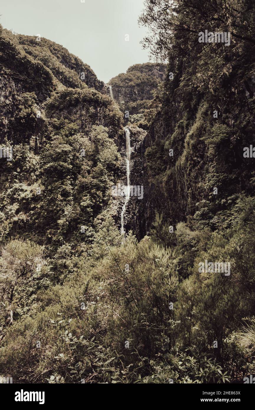 Spectacular double waterfall falling through jungle forest Stock Photo ...
