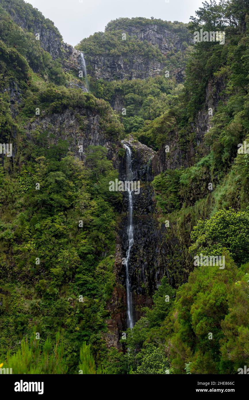 Spectacular double waterfall falling through jungle forest Stock Photo ...