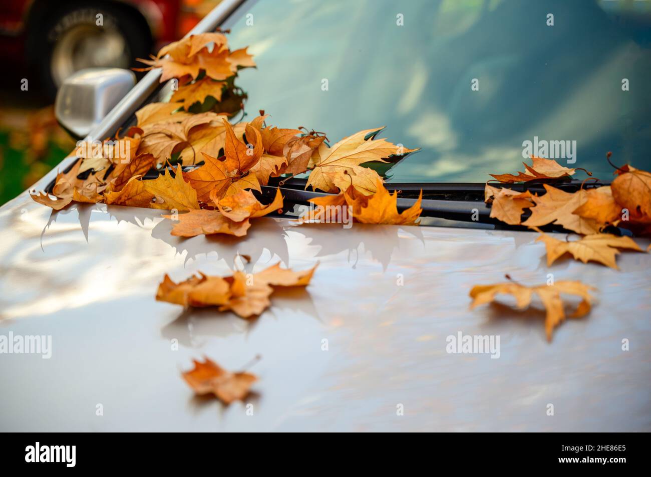 Car beauty shot hi-res stock photography and images - Alamy