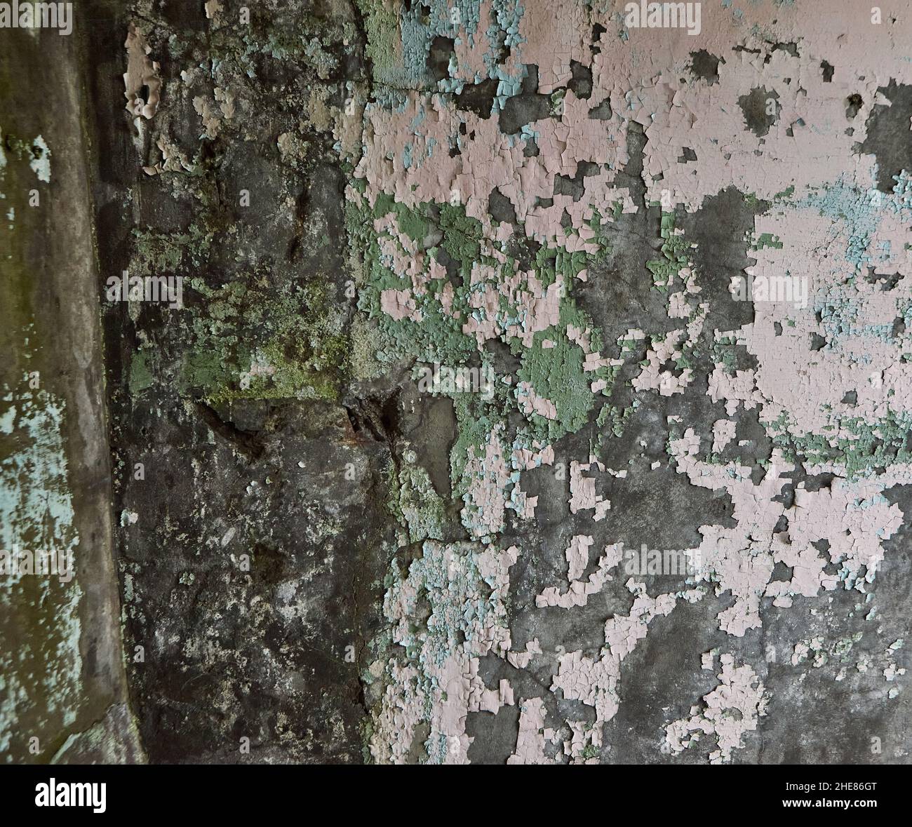 Excellent texture hi-res stock photography and images - Alamy