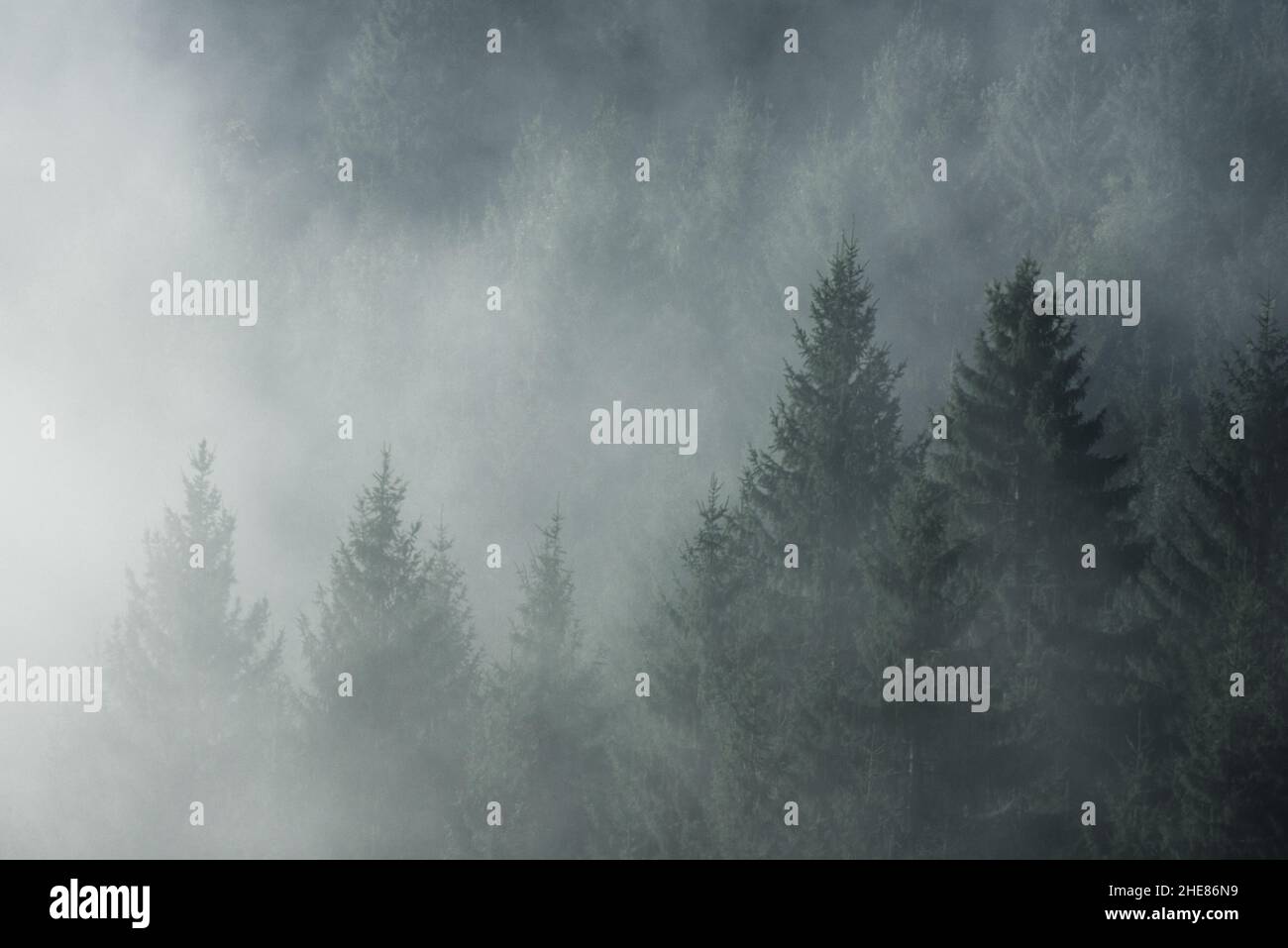 Dark green landscape hi-res stock photography and images - Alamy