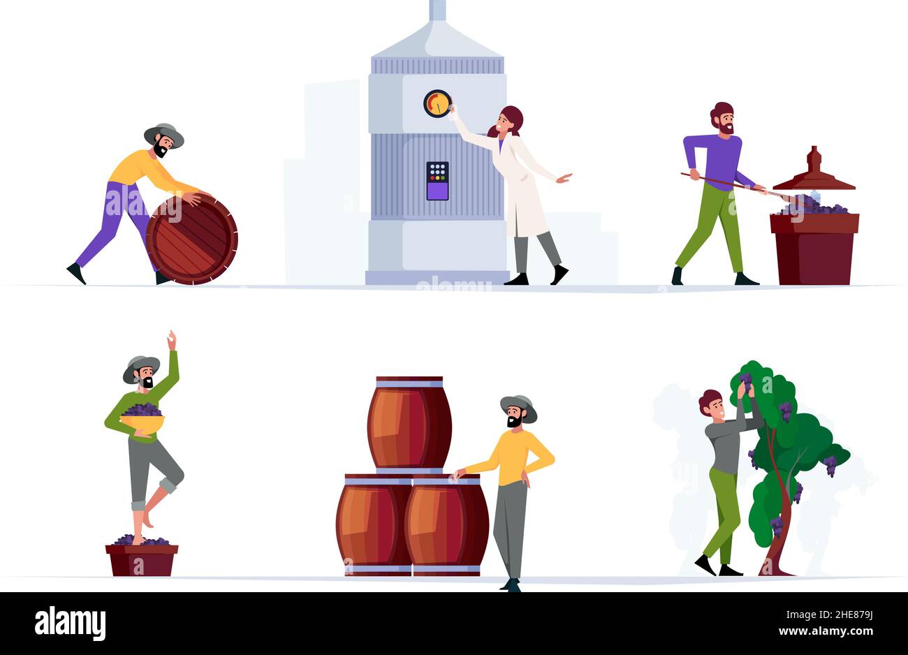 Wine production. Making wine from healthy delicious natural grape ...