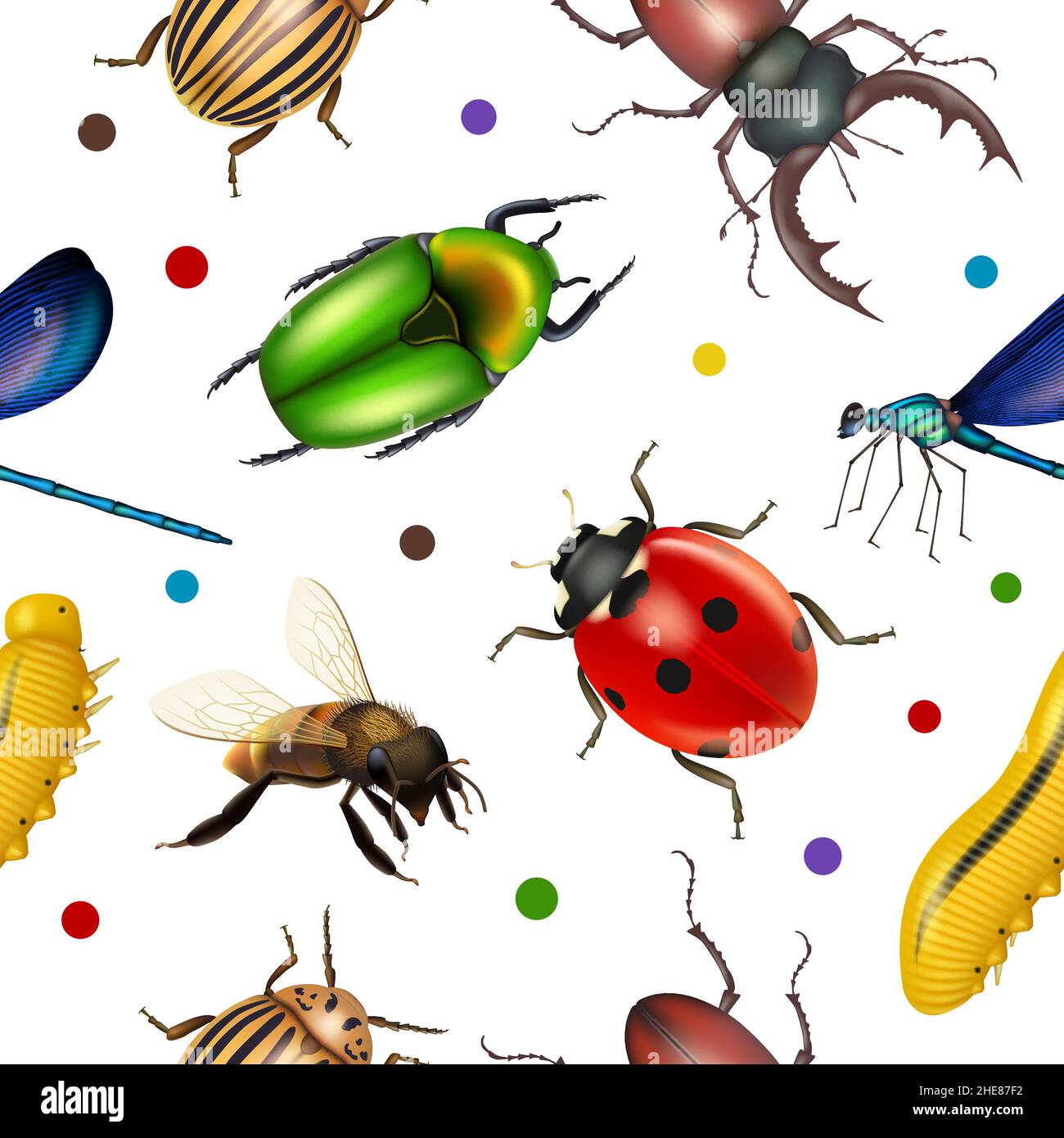 Insects pattern. Bugs botanical flying insects flies decent vector ...