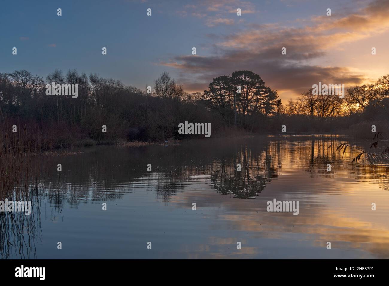 Southampton common pond hi-res stock photography and images - Alamy