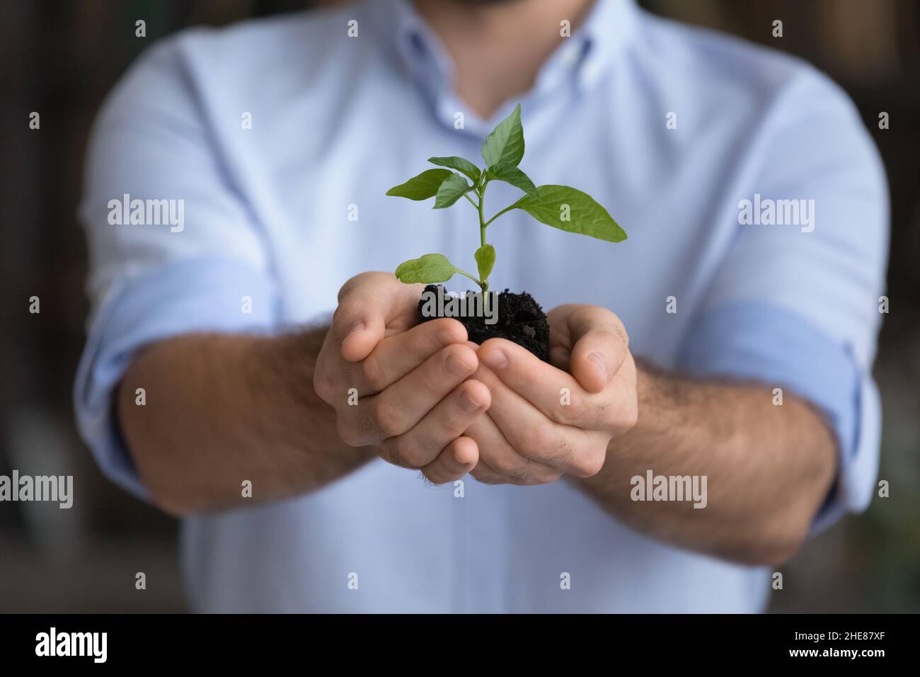 Hands holding sprout hi-res stock photography and images - Alamy