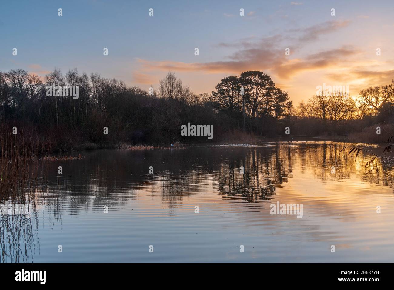 Ornamental Lake Southampton Common High Resolution Stock Photography ...