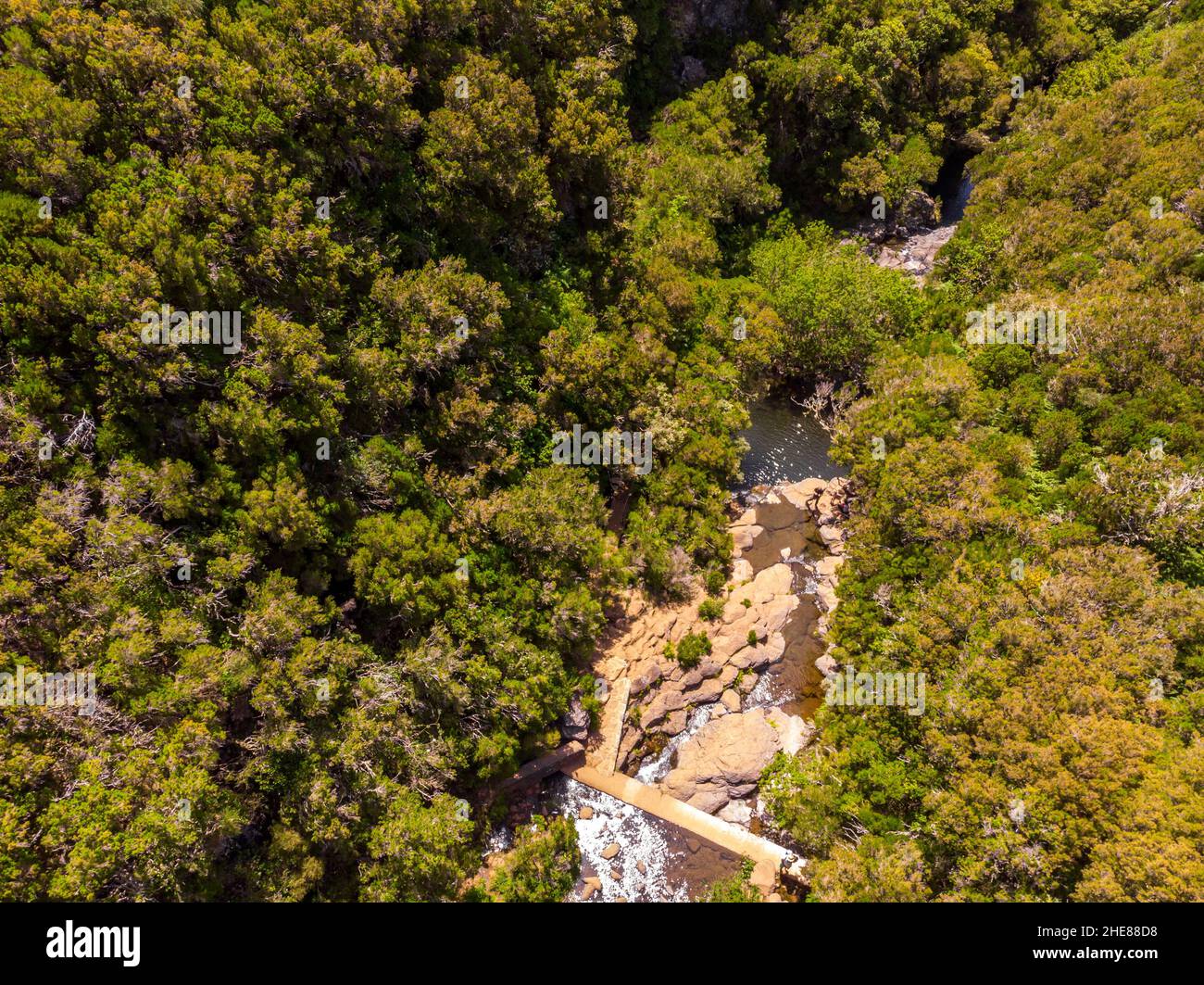 Drop down view of river runing through forest Stock Photo - Alamy