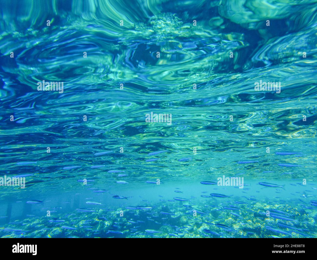 sea surface from water. red sea waves close-up Stock Photo - Alamy
