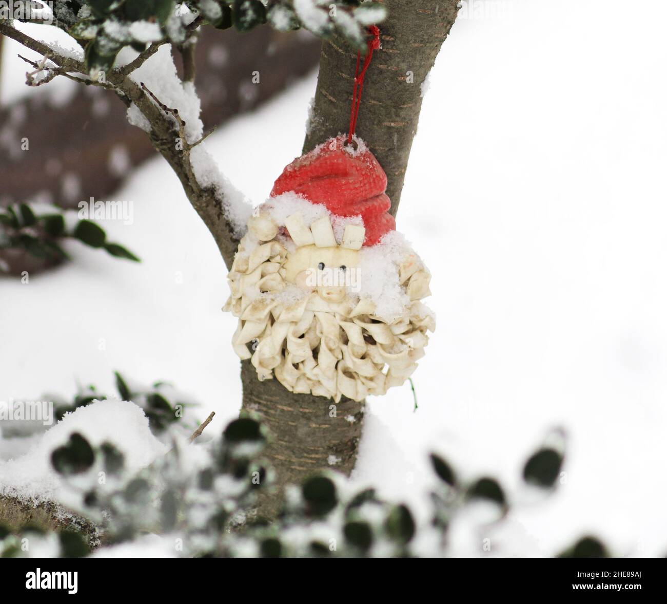Photo of a Santa Claus ornament hung on a tree covered in snow Stock ...