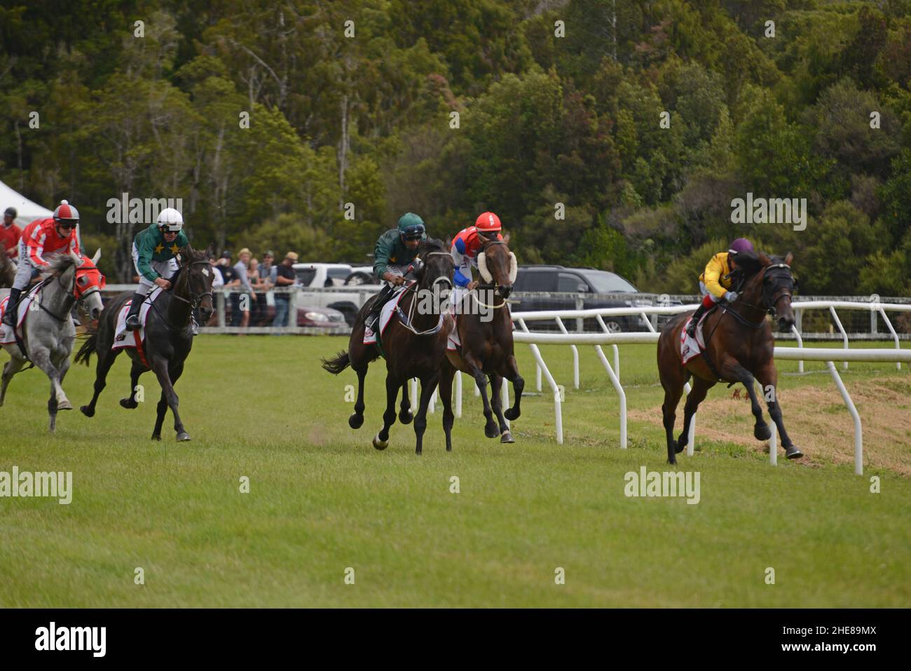 Horse race finish line 2022 hi-res stock photography and images - Alamy
