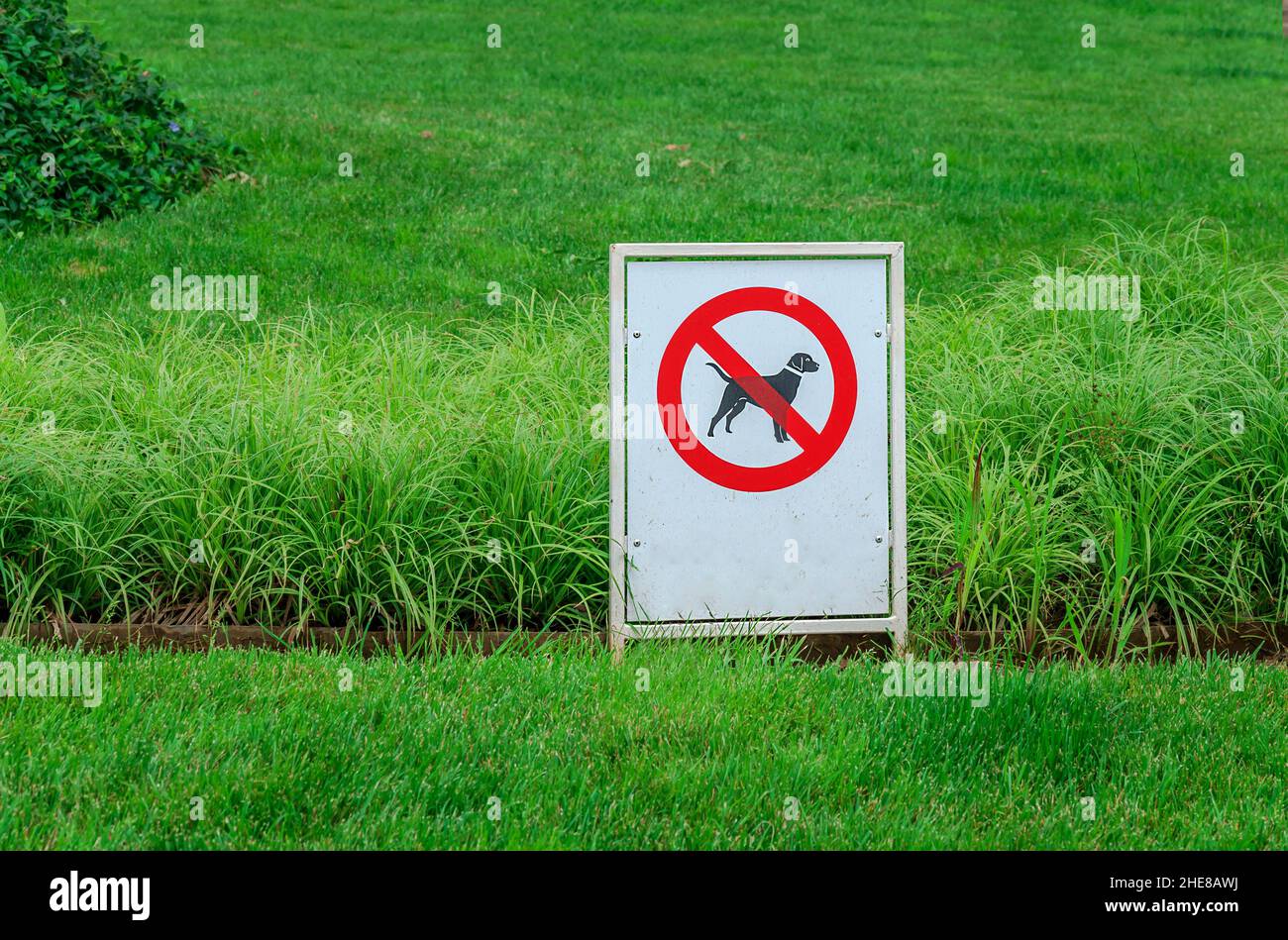 No dog walking allowed sign hi-res stock photography and images - Alamy