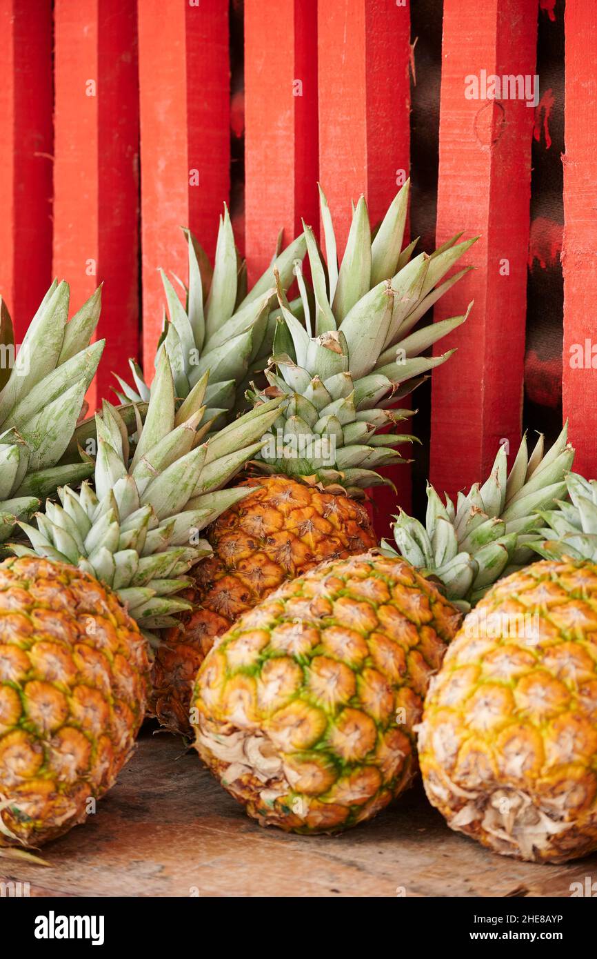Fruit shop mexico hi-res stock photography and images - Alamy