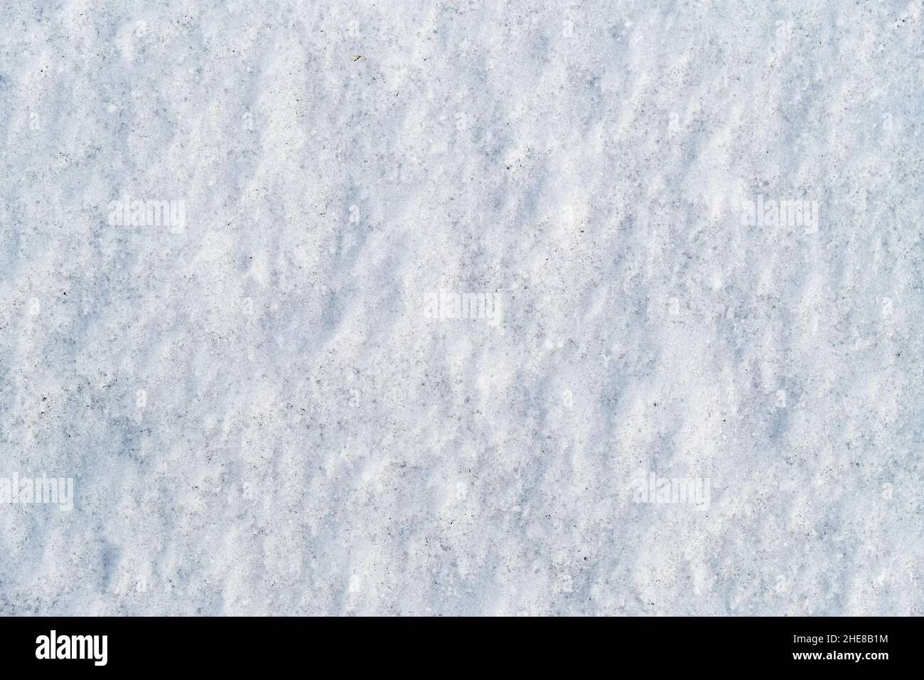 winter background. Snow texture. White pure snow Stock Photo - Alamy