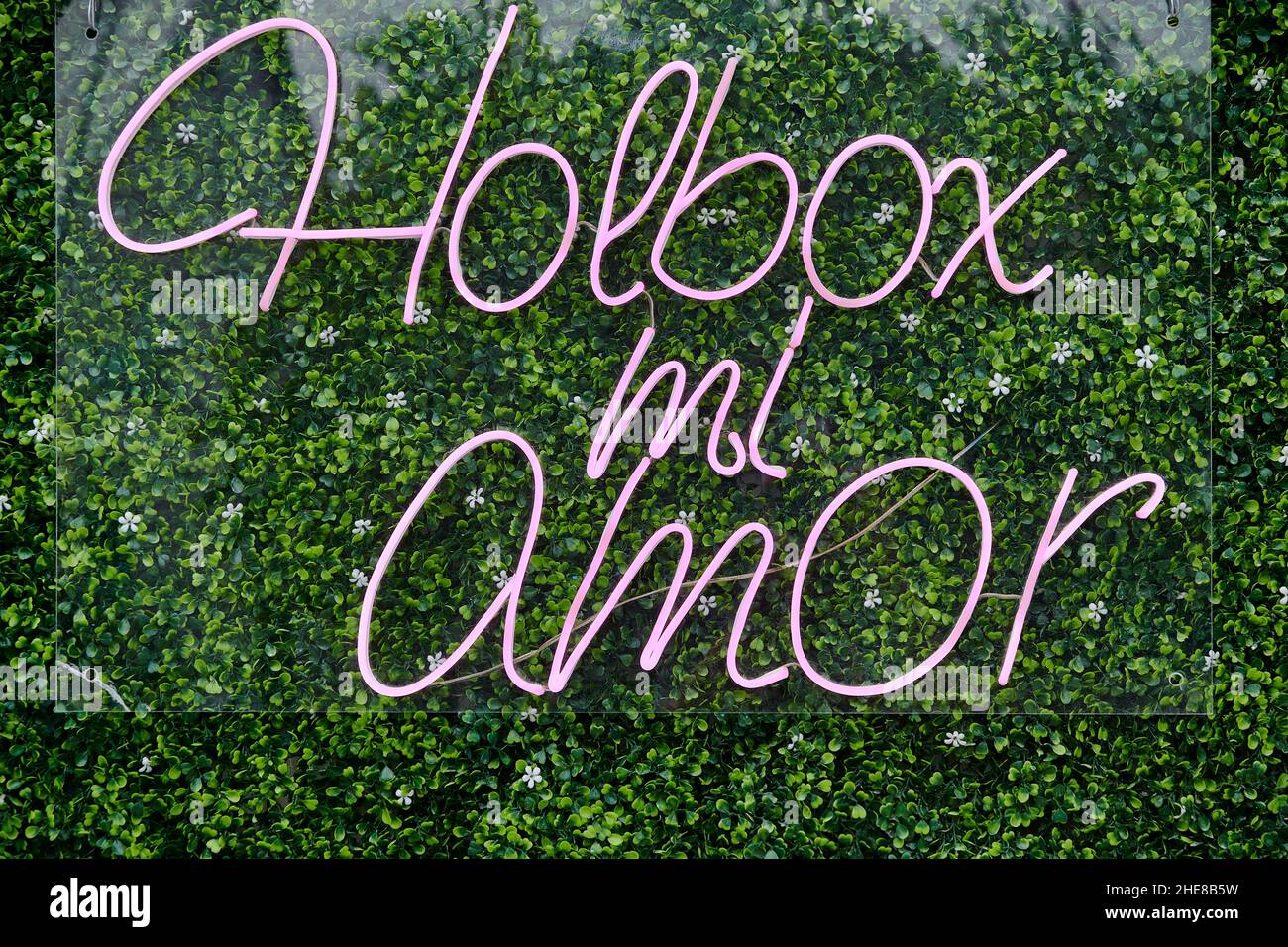 pink neon sign on a living wall on Isla Holbox Stock Photo - Alamy