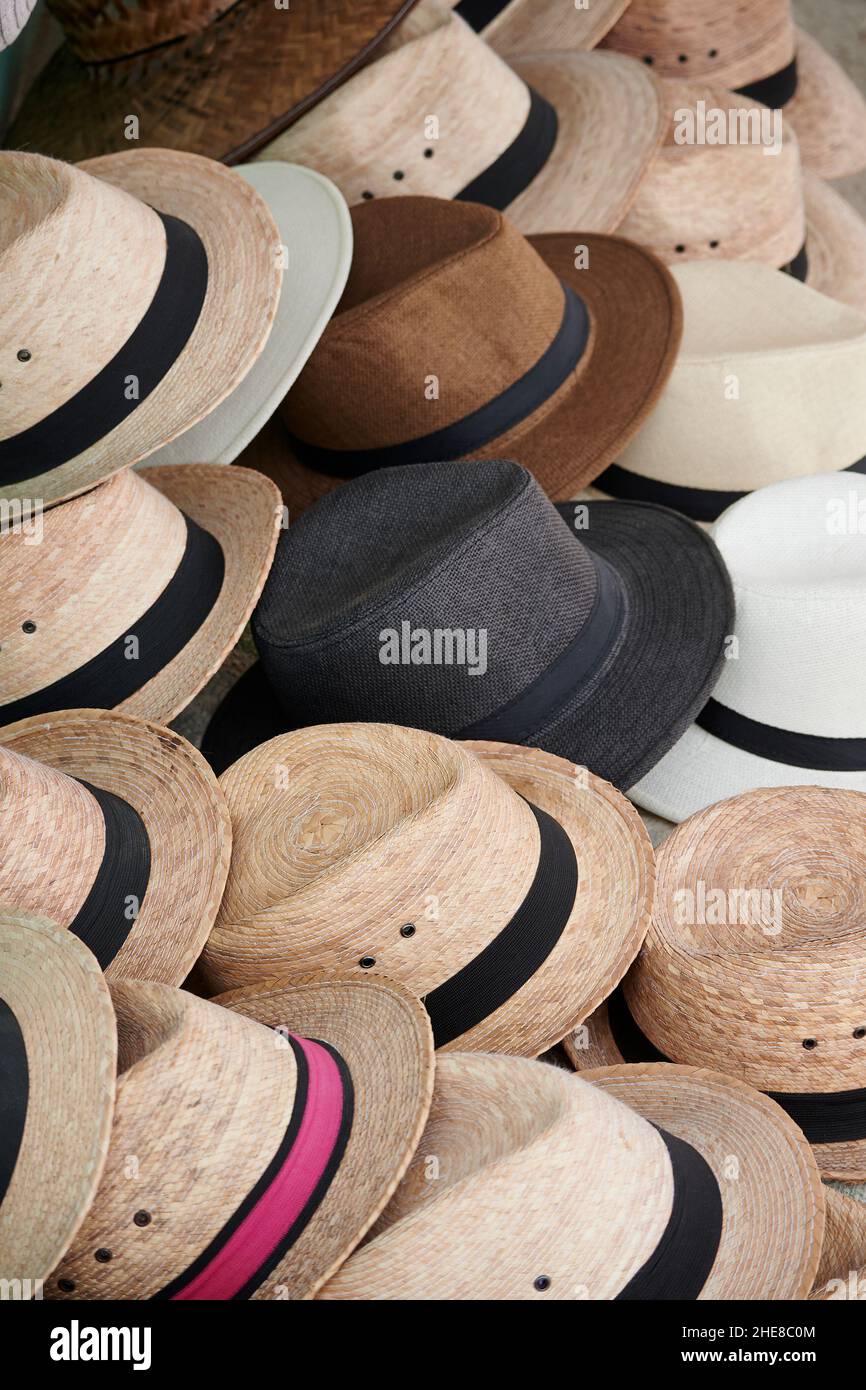Panama style straw hats displayed in rows for sale Stock Photo - Alamy