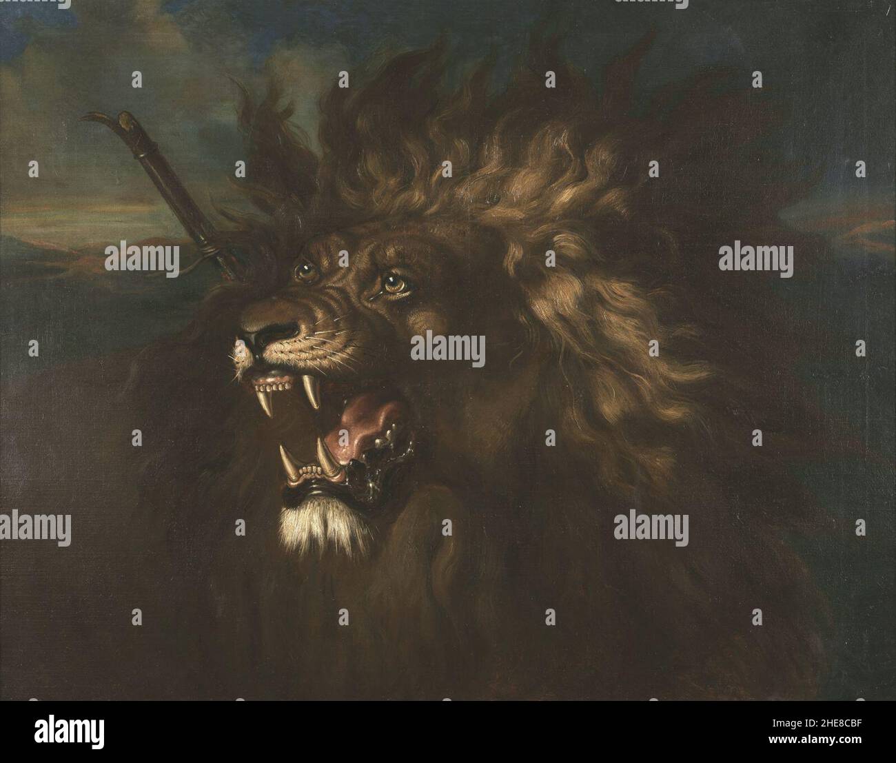 Wounded lion hi-res stock photography and images - Alamy