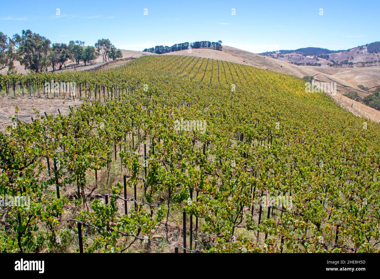 Barossa ranges australia hi-res stock photography and images - Alamy
