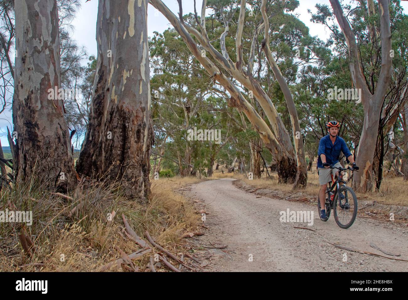 Mawson hi-res stock photography and images - Alamy