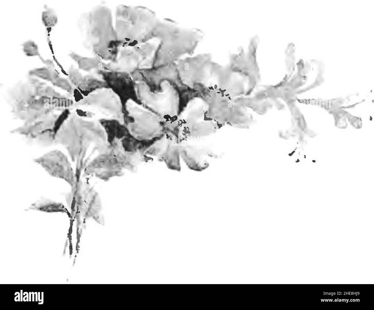 Sally in our alley hi-res stock photography and images - Alamy