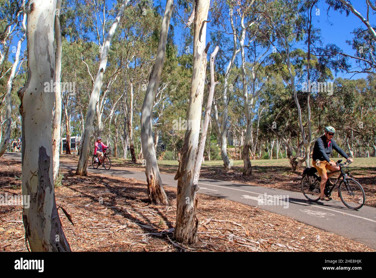Cycling on the River Torrens Linear Park Trail in Adelaide Stock Photo ...