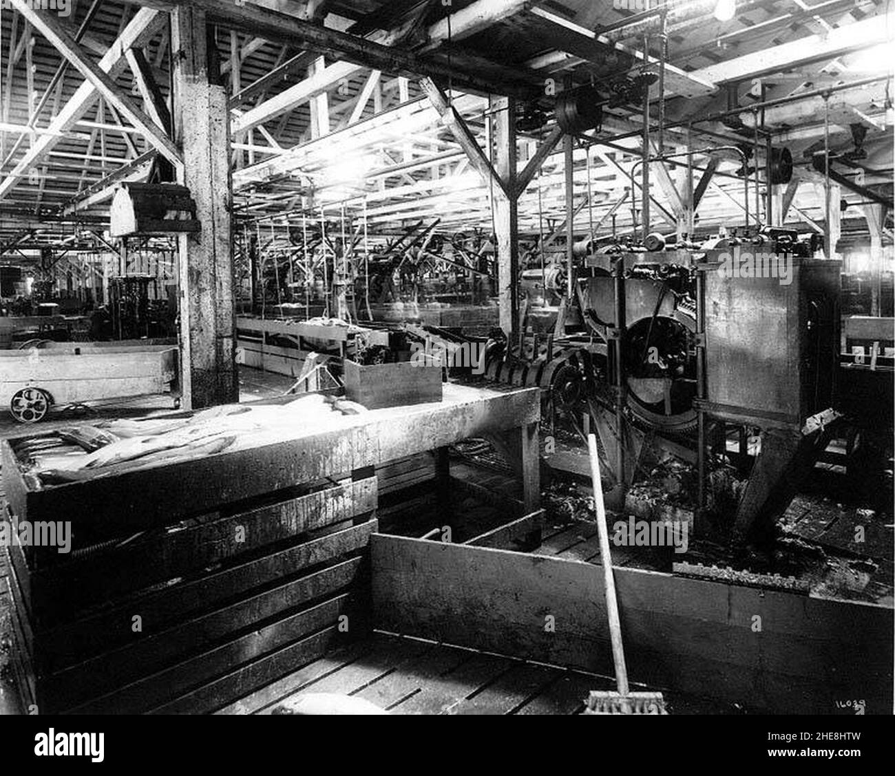 Salmon cannery interior, probably Bellingham area Stock Photo - Alamy