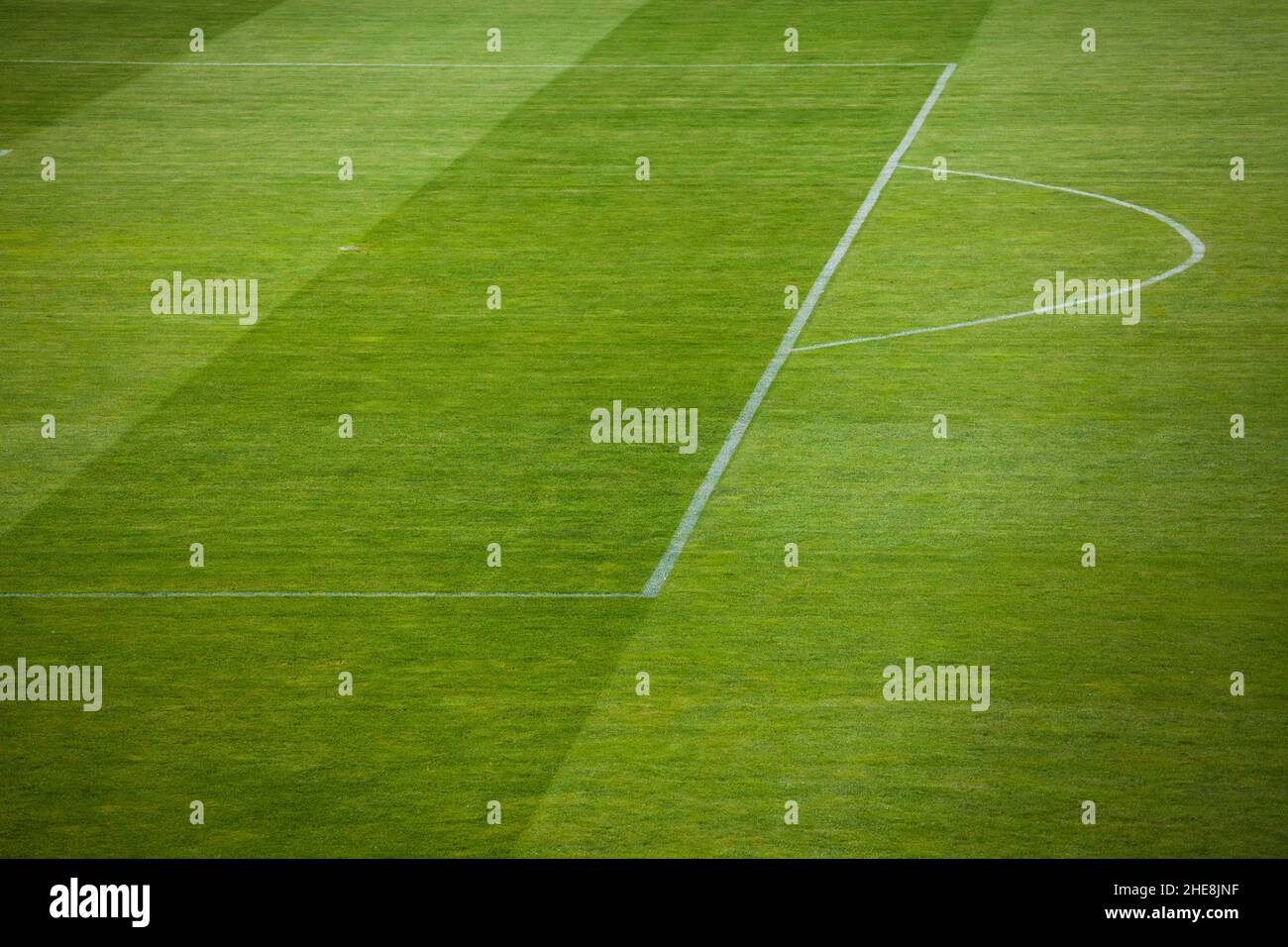 Natural green grass soccer field Stock Photo - Alamy