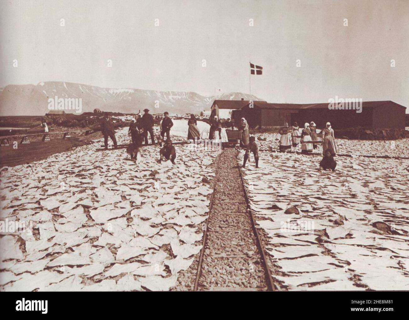 Saltfiskur hi-res stock photography and images - Alamy