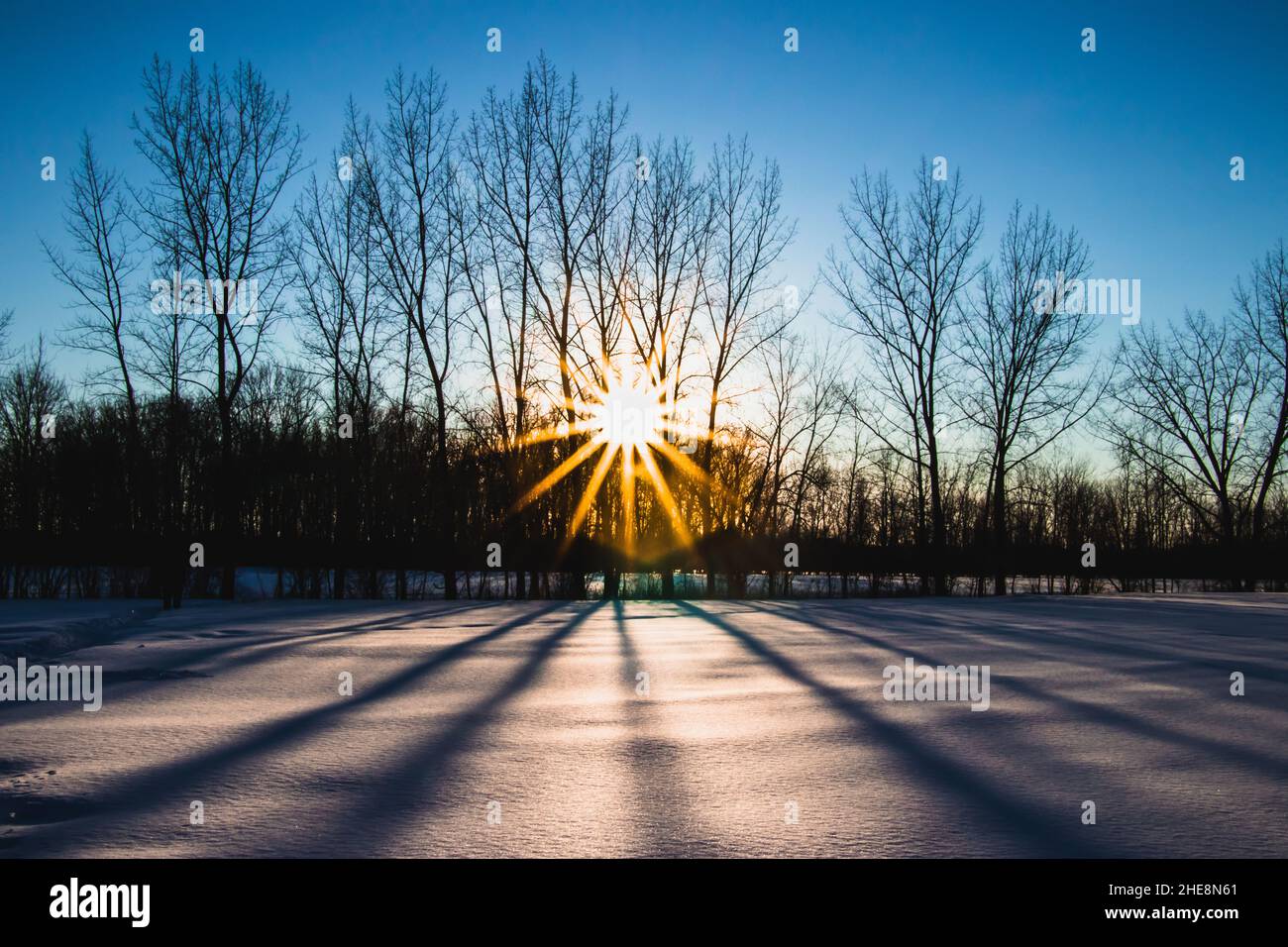 Panoramic of frozen trees at dusk hi-res stock photography and images ...