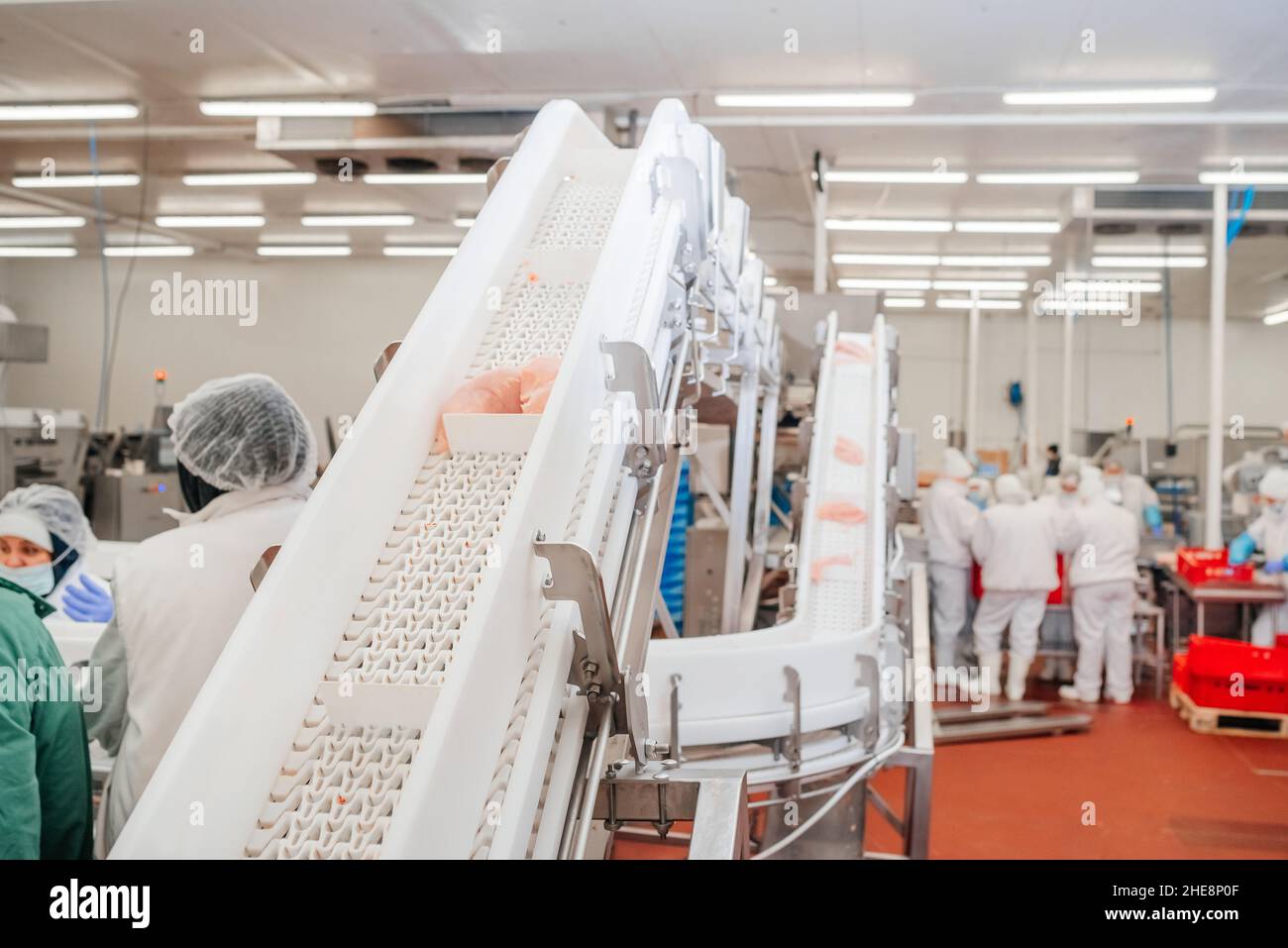 Modern poultry processing plant.Factory for the production of food from ...