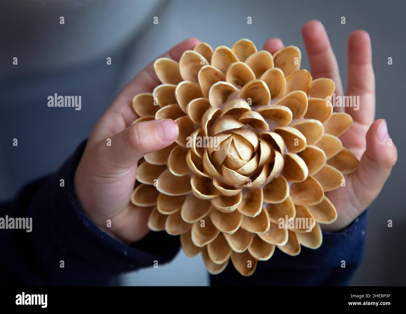 Handicrafts with waste material hi-res stock photography and images - Alamy