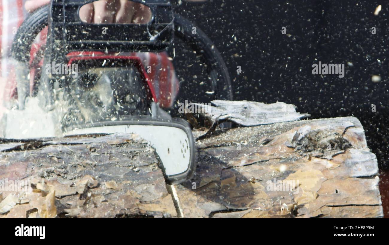 Close up of sawing a log with a chainsaw process. Male carpenter sawing ...
