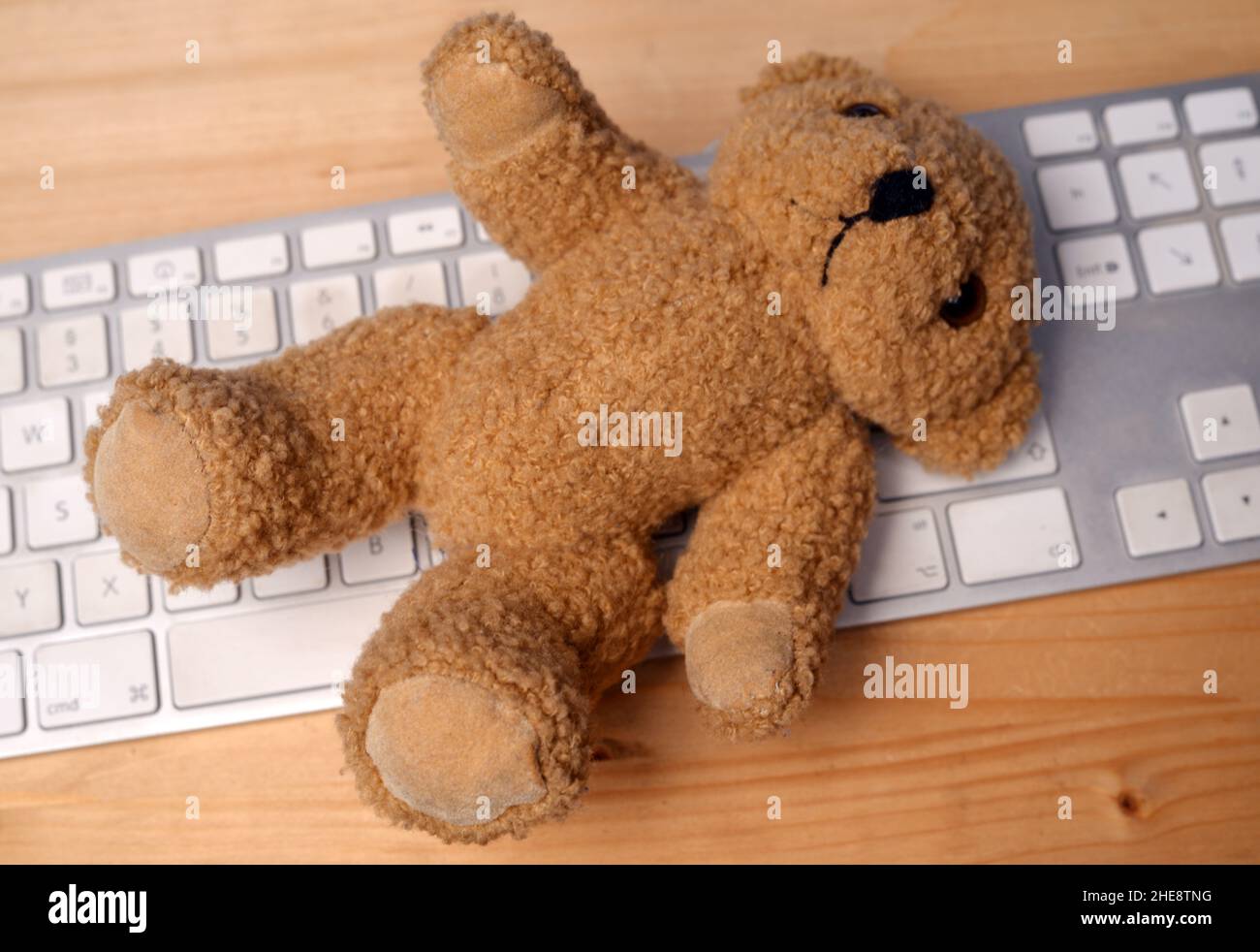 Teddy bear on a computer keyboard on a wooden desk Stock Photo - Alamy