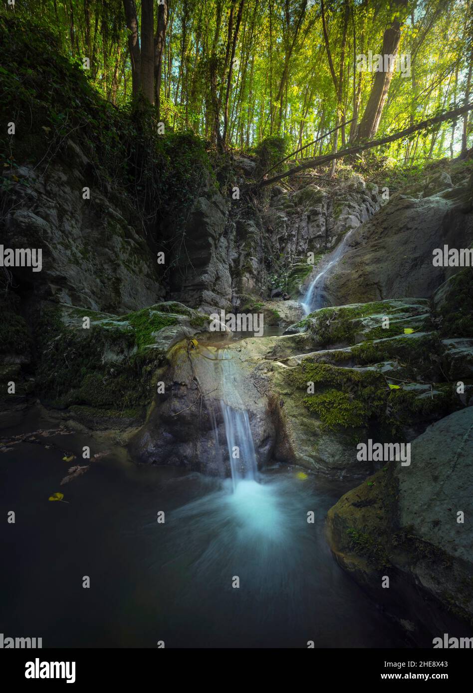 Stream waterfall inside a mediterranean forest and small pool. Chianni ...
