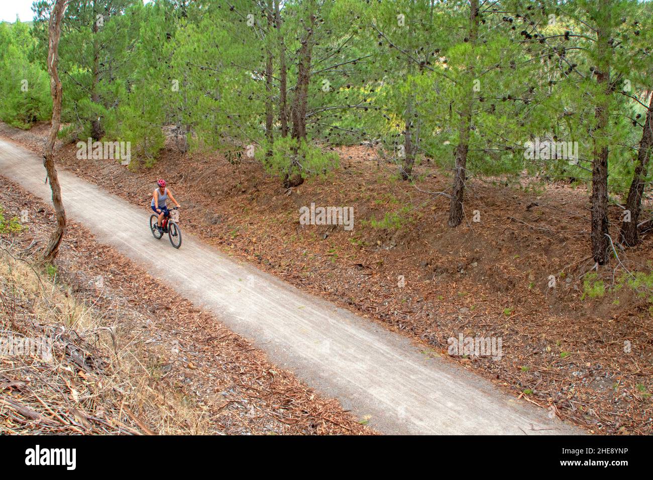 Cycling on the Riesling Trail through the Clare Valley Stock Photo - Alamy