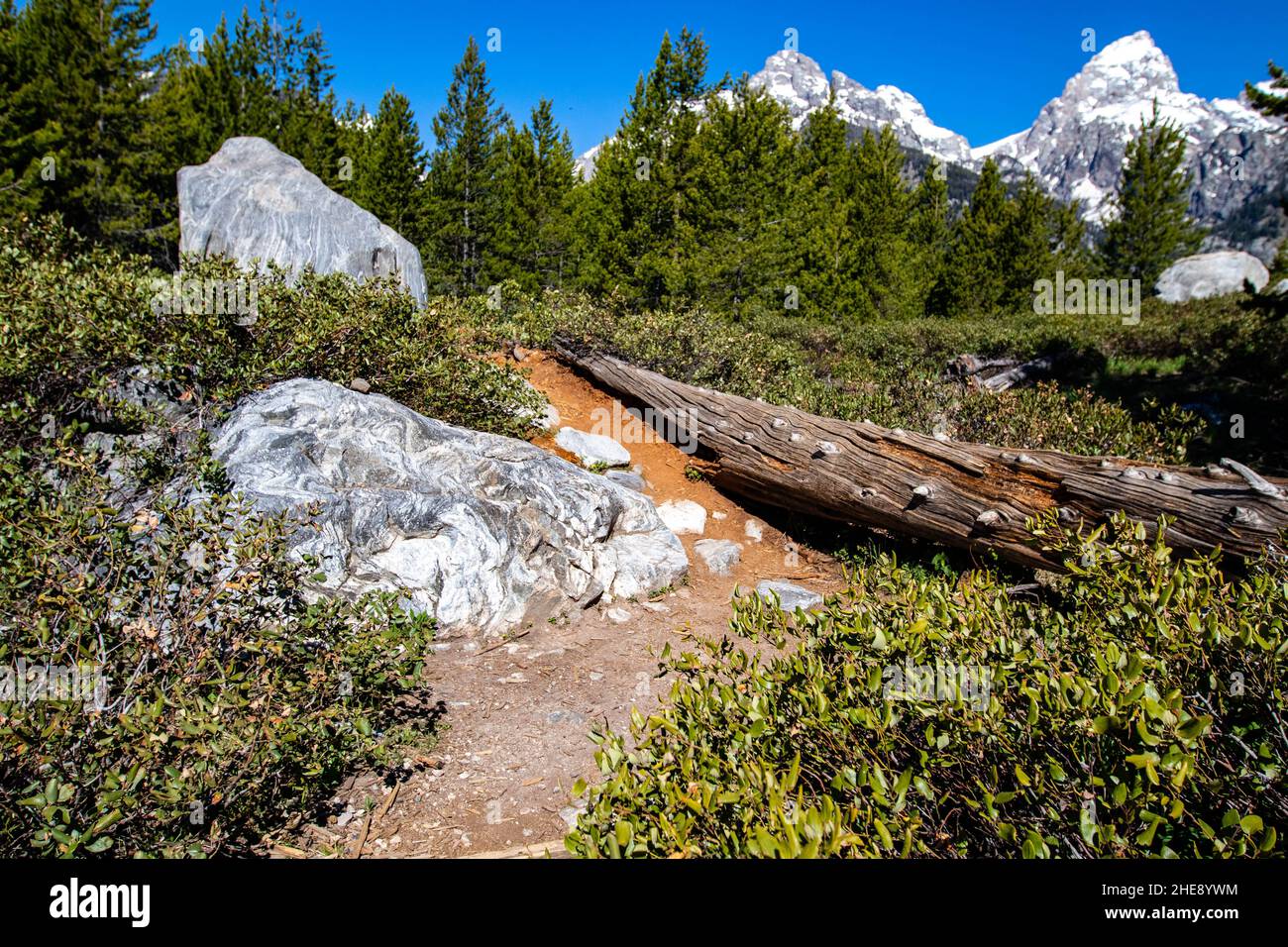 Metamorphic gneiss rock in the Grand Teton Range, Wyoming are some of ...