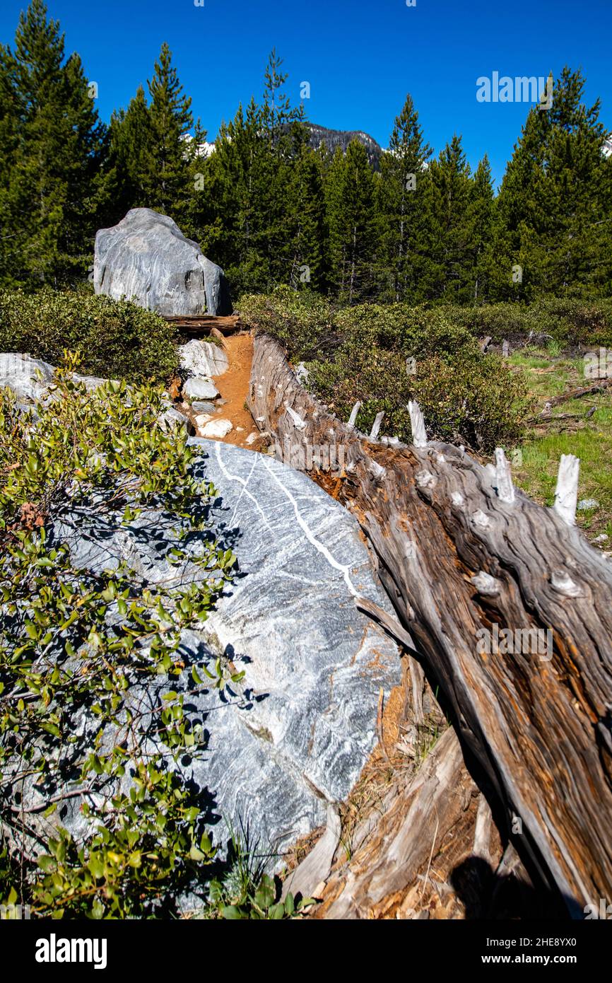 Metamorphic gneiss rock in the Grand Teton Range, Wyoming are some of ...